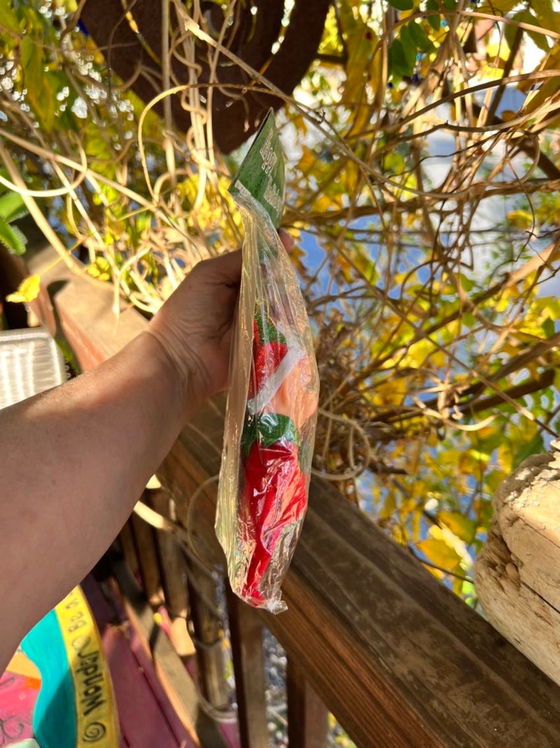 Vintage Delta Knee Hugger Elf Pixie Plastic Christmas Ornament - Etsy