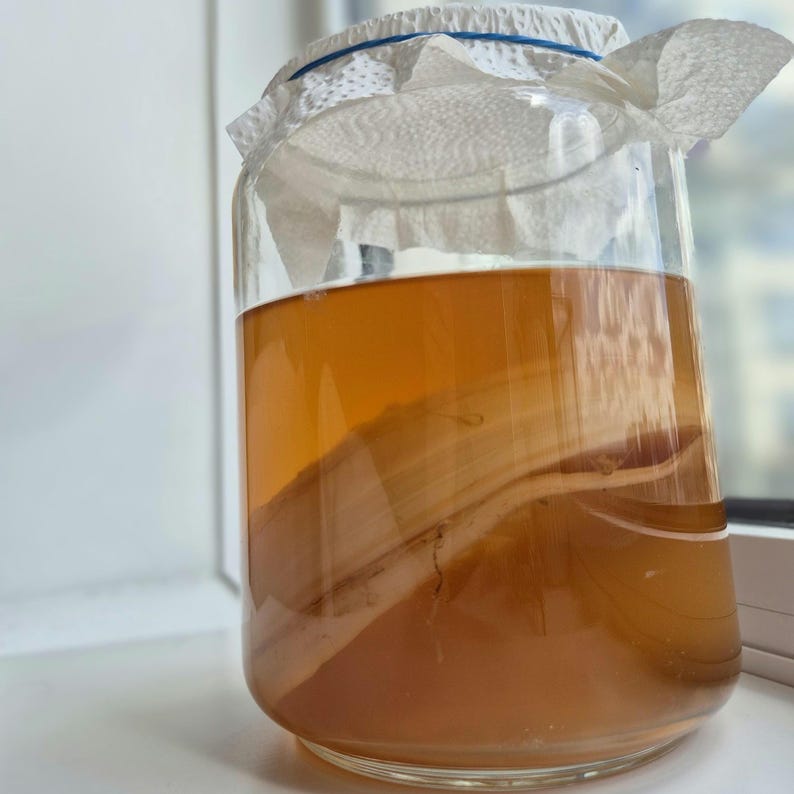 Kombucha Starter Kit With SCOBY | Active Starter Culture | Instructions ...