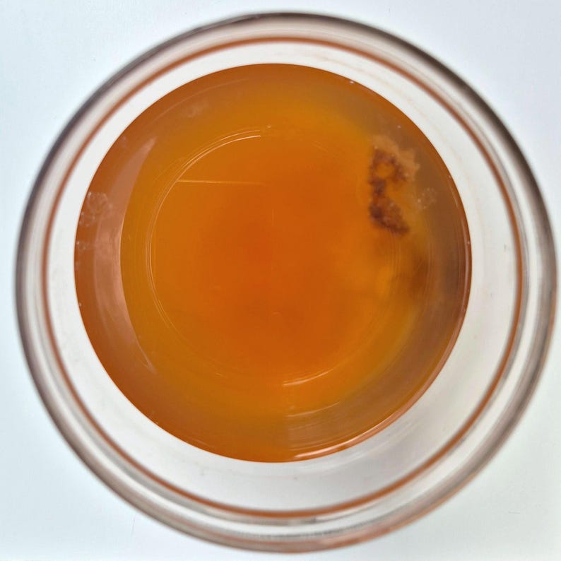 Kombucha Starter Kit With SCOBY | Active Starter Culture | Instructions ...