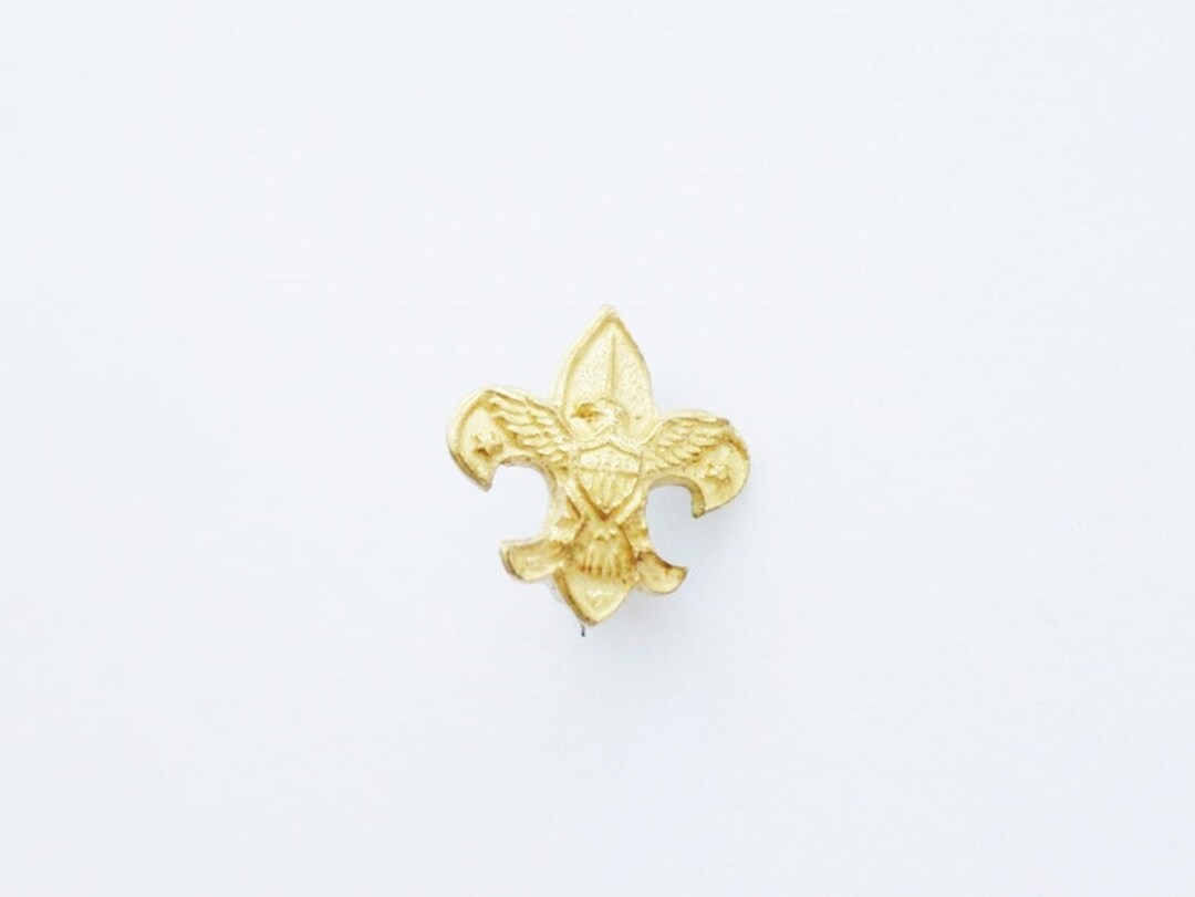 Vintage Boy Scout Pin, Tenderfoot Scout Rank Lapel/hat Pin, Spin Lock ...