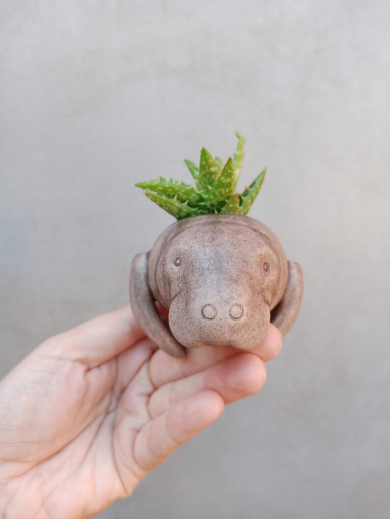 Small Cute Manatee Planter Ceramic Planter Animal Planter - Etsy