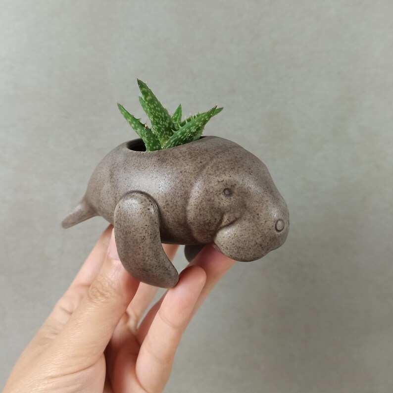 Small cute manatee planter ceramic planter animal planter | Etsy