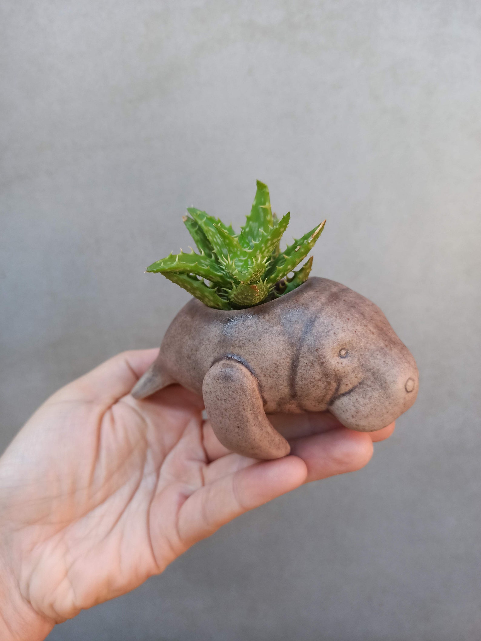 Small Cute Manatee Planter Ceramic Planter Animal Planter - Etsy