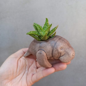 Small Cute Manatee Planter Ceramic Planter Animal Planter - Etsy