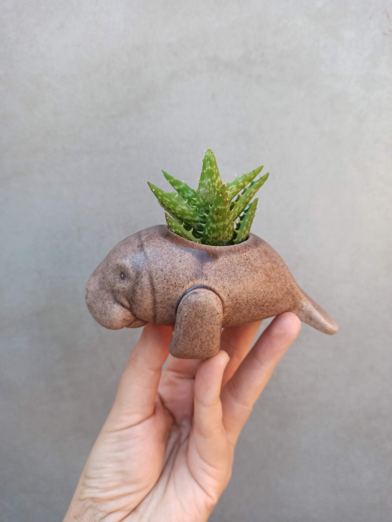 Small Cute Manatee Planter Ceramic Planter Animal Planter - Etsy