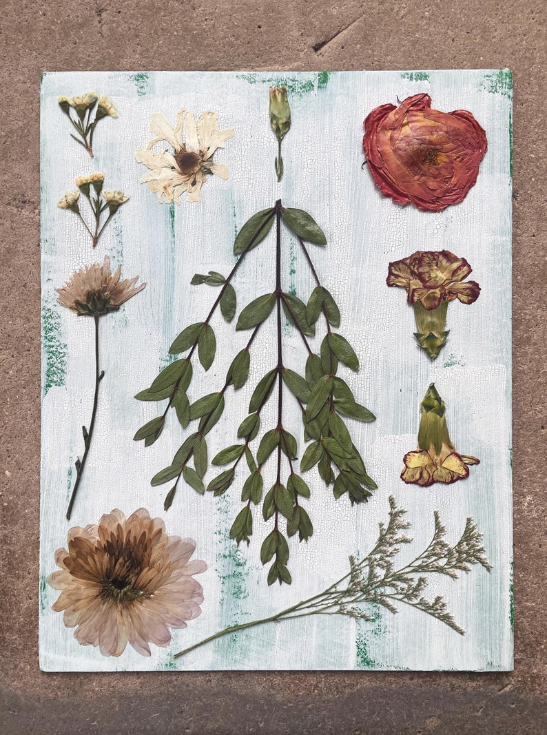 Pressed Flower Collage 4 - Etsy
