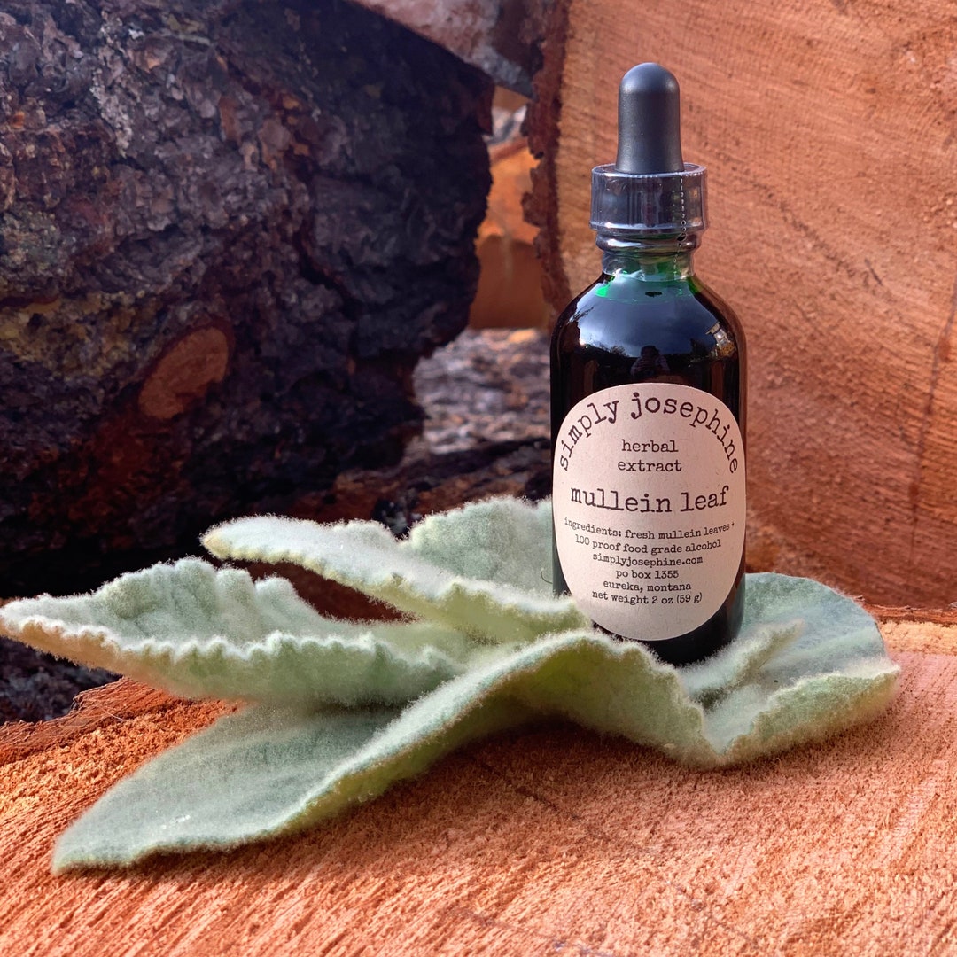 Mullein Leaf Extract/tincture 2 Oz Dropper Bottle - Etsy