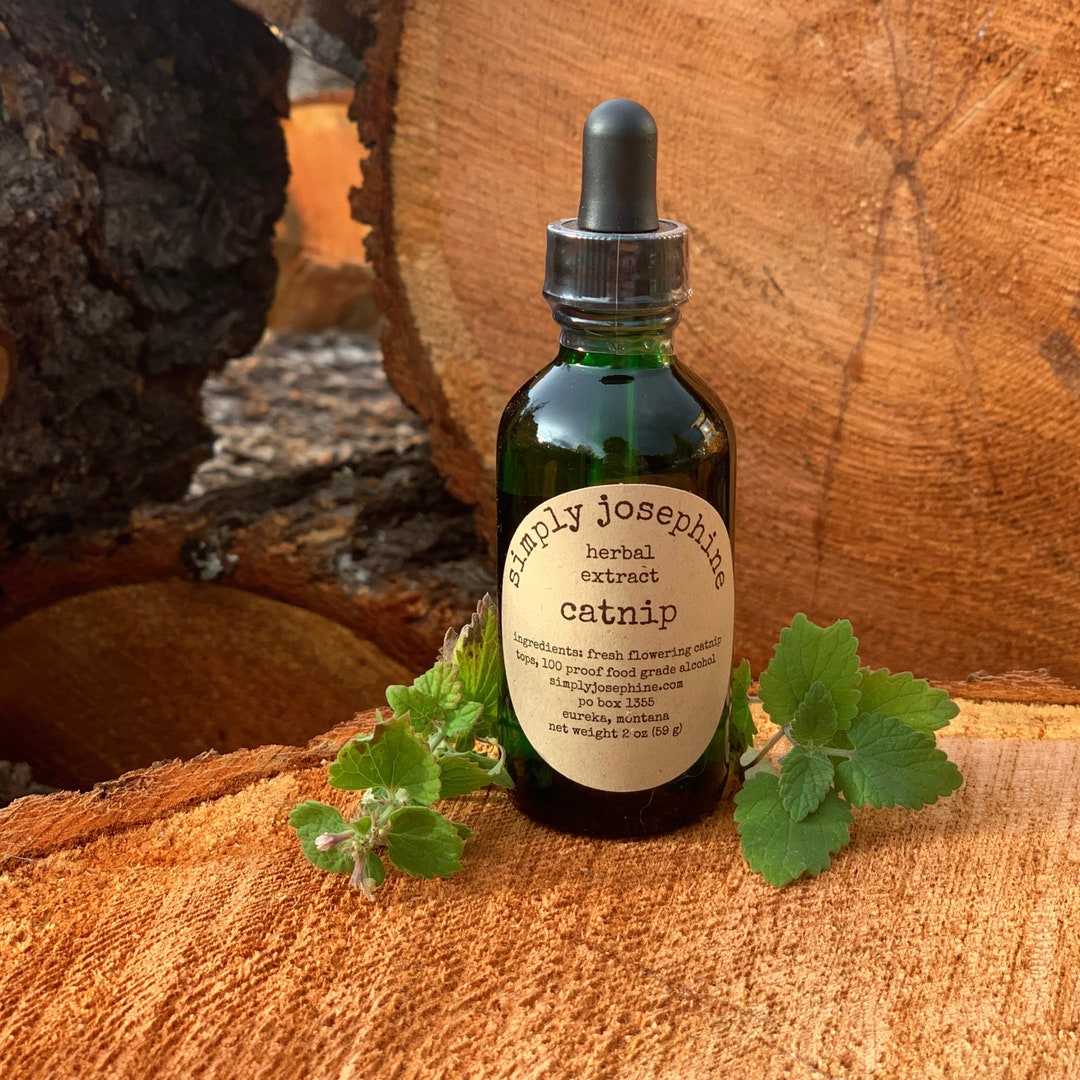 Catnip Tincture/extract is 2 Oz Dropper Bottle - Etsy