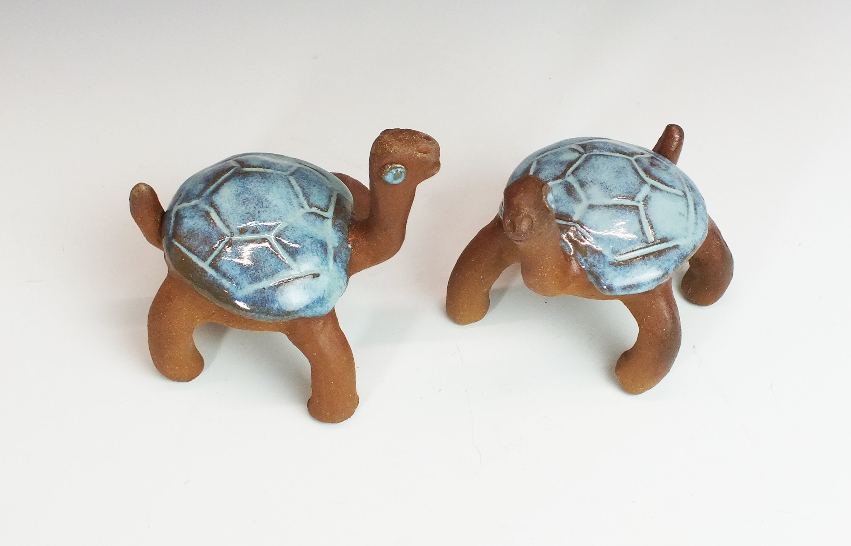 Box Turtle Art, Handmade, Garden Art, Tortoise, Desk Art - Etsy