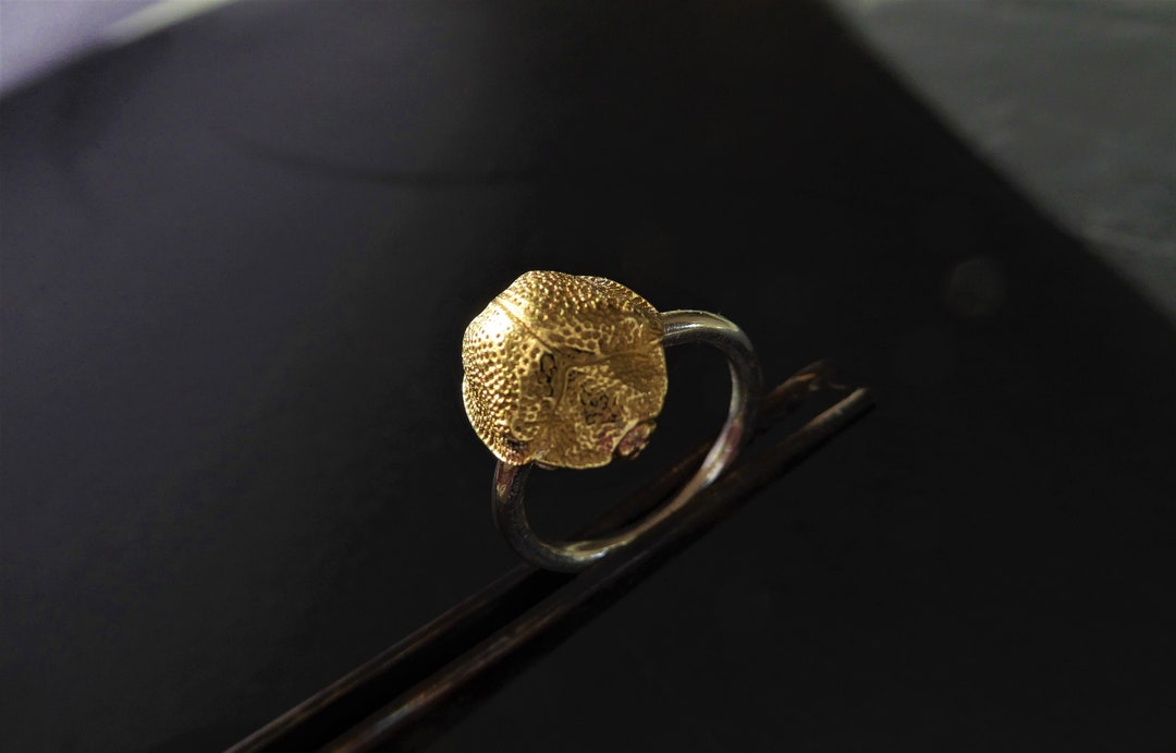 Sunrise Scarab Ring Ancient Amulet Natural Petrified Egyptian Scarab ...