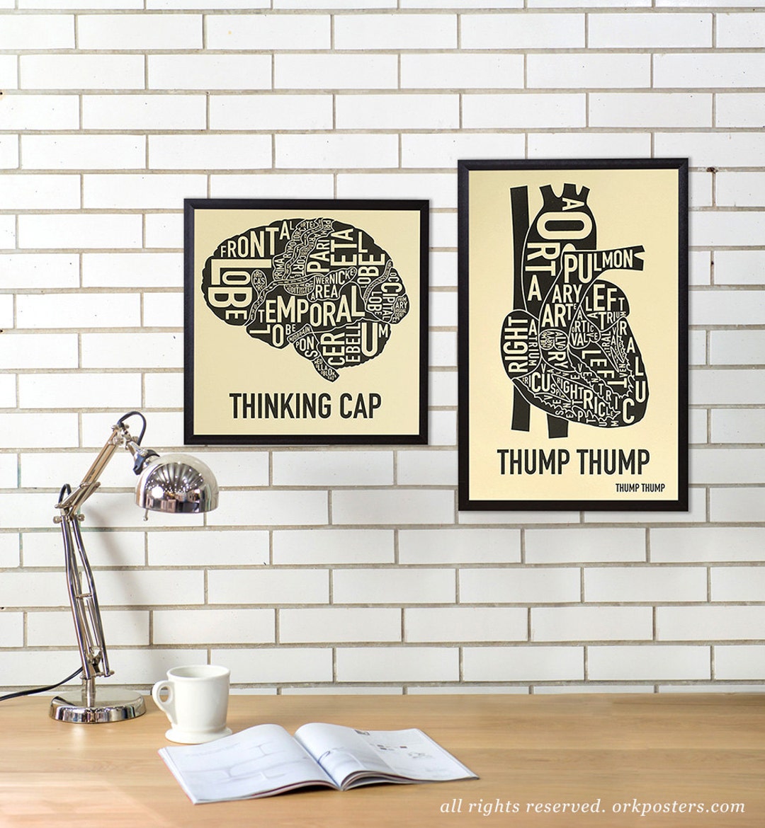 Brain Typography Anatomy Art Poster or Screen Print, Graduation Gift ...