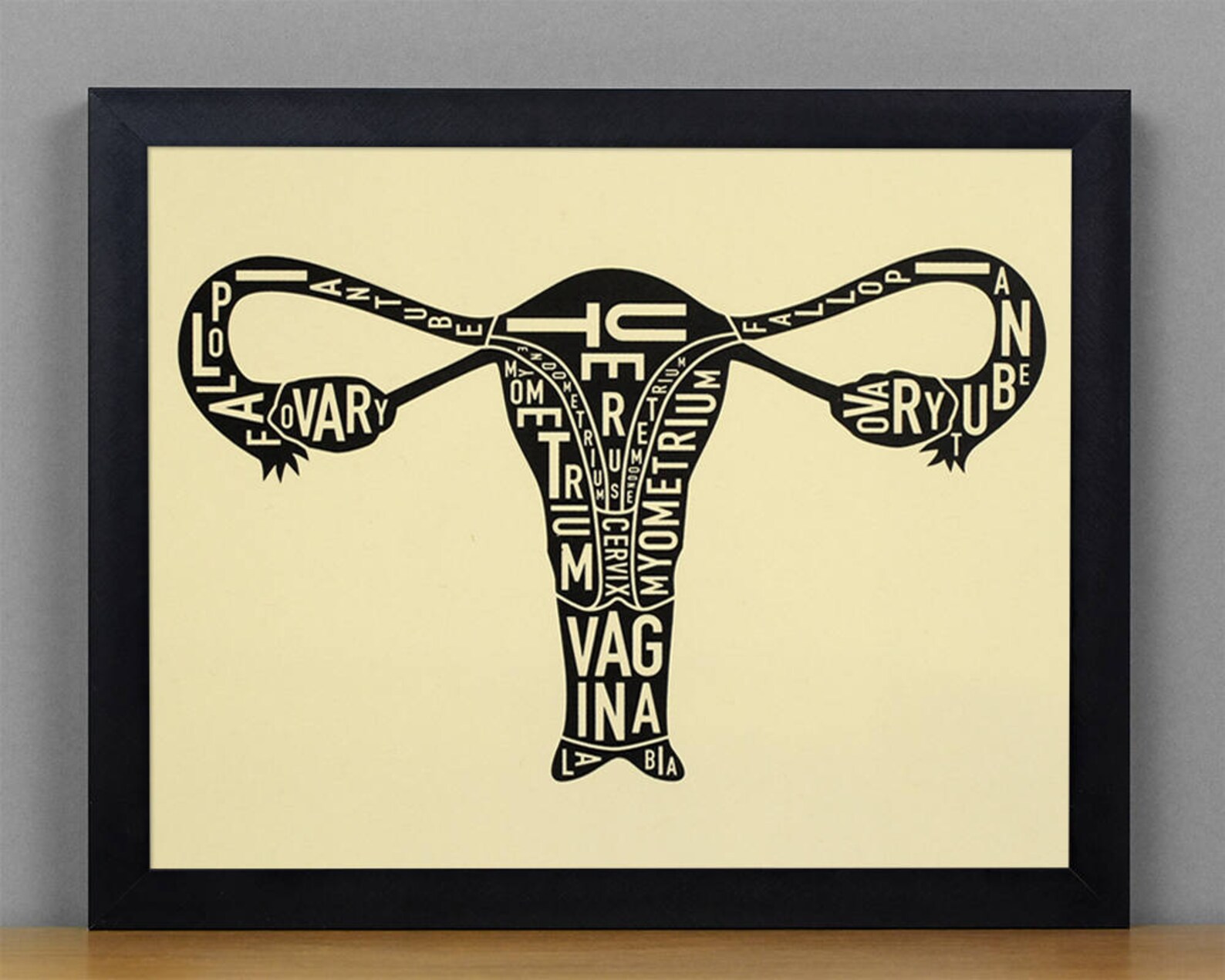 Typographic Artwork of Female or Male Reproductive Anatomy, 8" X 10 ...