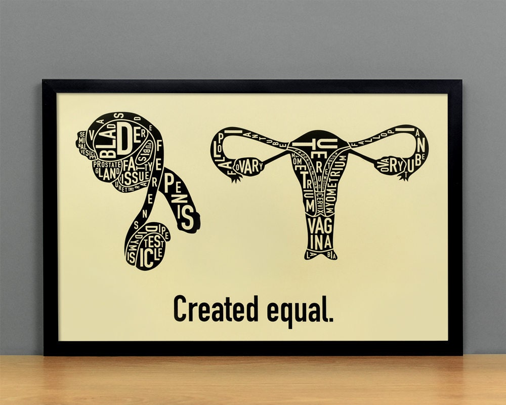 Reproductive Anatomy Typographic Art, Sexual Anatomy Artwork, Feminism ...
