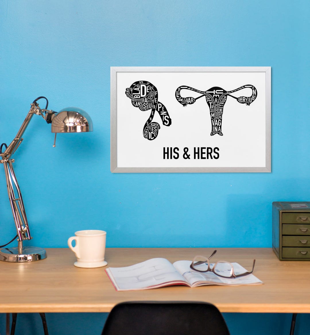 Reproductive Anatomy Typographic Art, Sexual Anatomy Artwork, Feminism ...