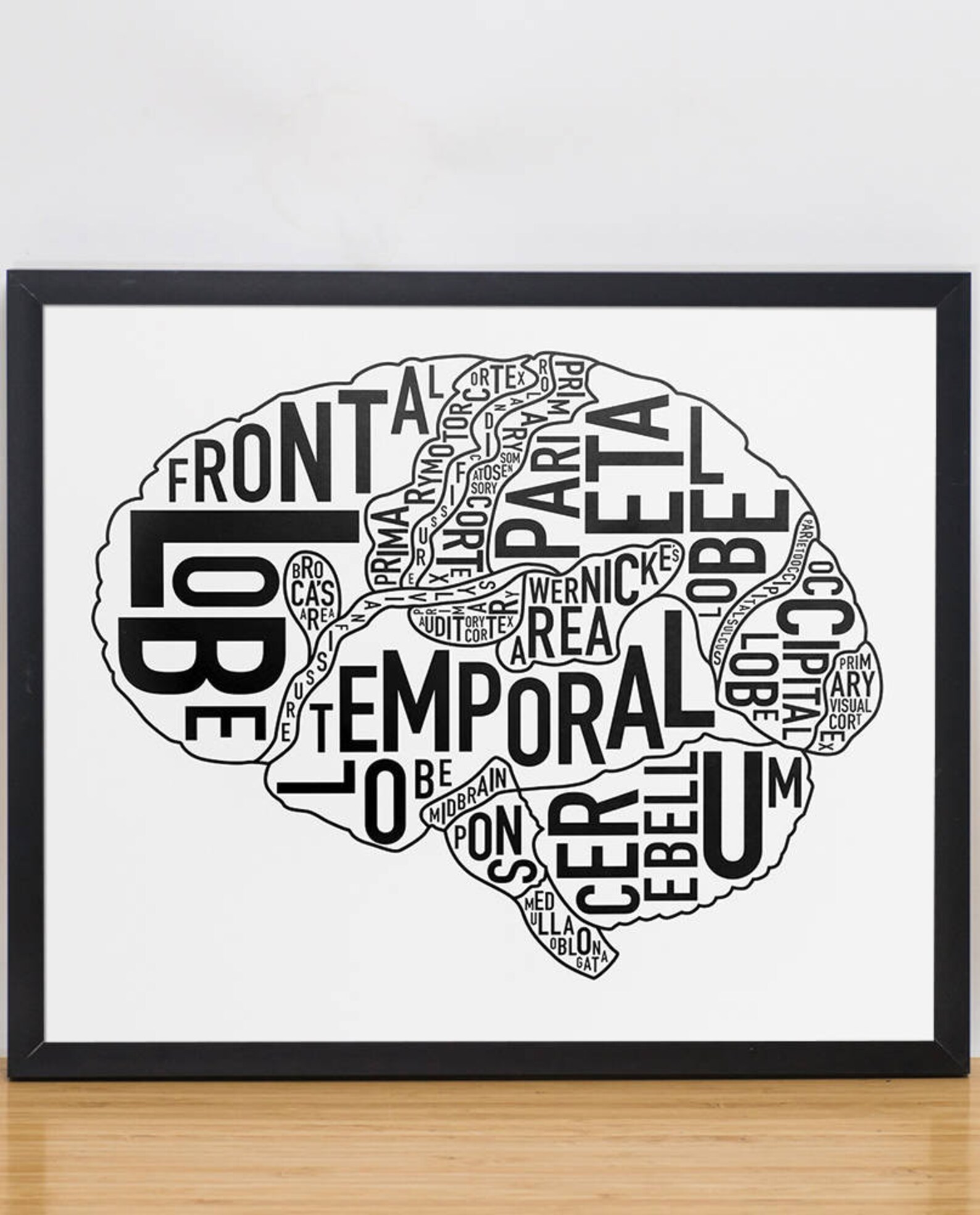 Brain Typography Anatomy Art Poster or Screen Print, Graduation Gift ...