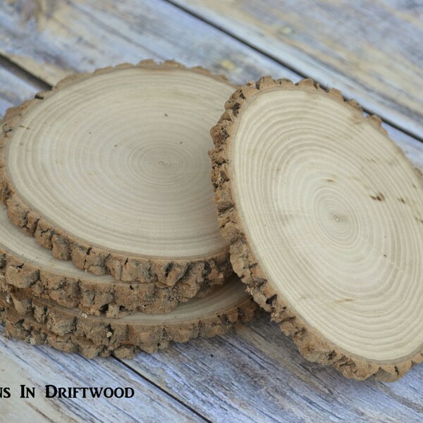 12 Inch Wood Slices - Etsy