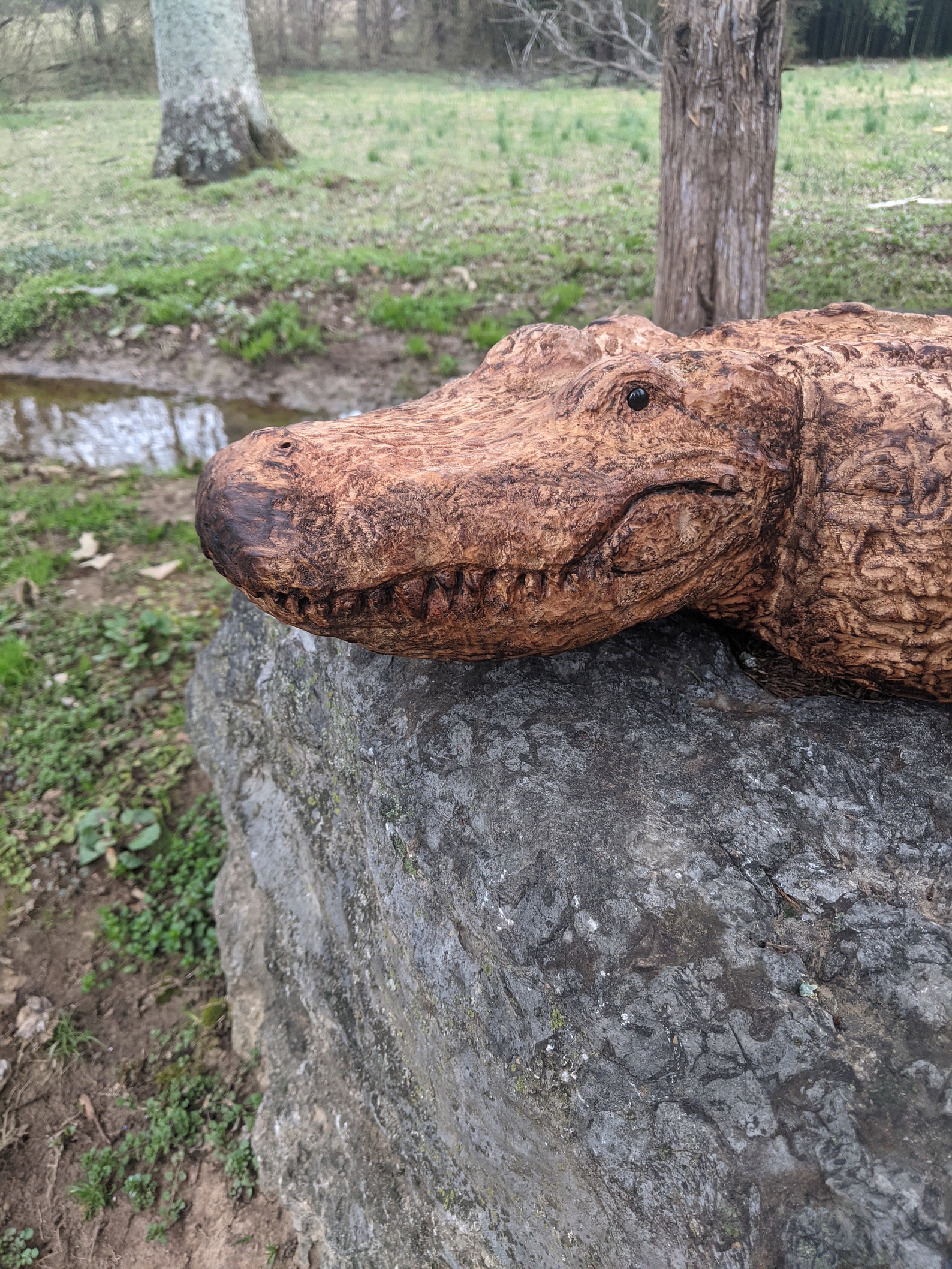 Hand Carved Driftwood Alligator Sculpture – Wildlife Artist, 22 Inch - Etsy