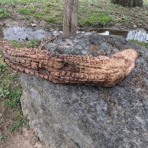 Hand Carved Alligator Sculpture by Wildlife Artist Lowell Mosley ...