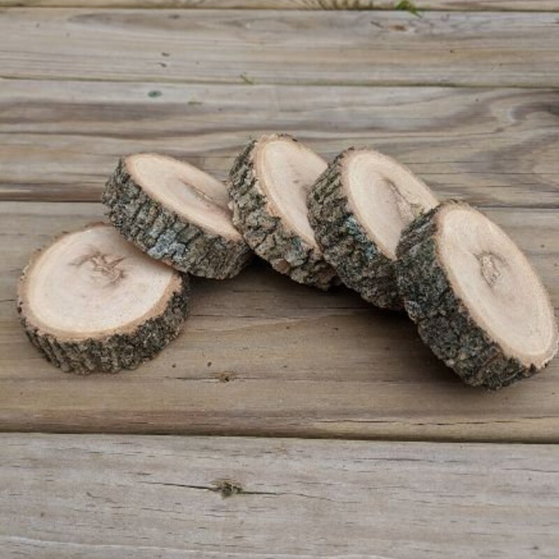 Tree Branch Slices - Etsy