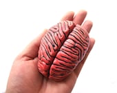 Ceramic Brain Sculpture Desk Accessory Anatomy Sculpture - Etsy
