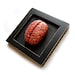 Brain Sculpture, Ceramic Brain Sculpture, Brain Wall Art, Psychology ...