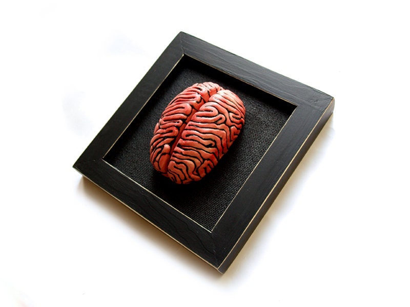 Brain sculpture Ceramic brain sculpture Brain wall art | Etsy