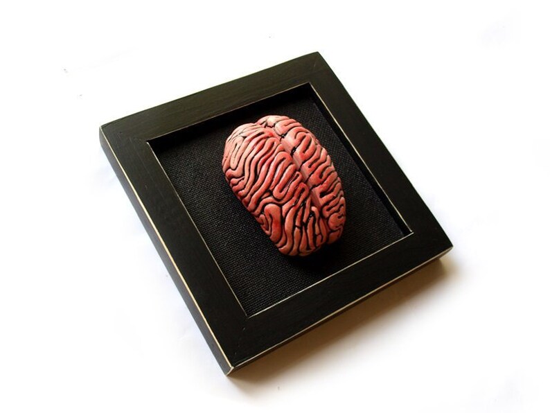 Brain Sculpture Ceramic Brain Sculpture Brain Wall Art | Etsy