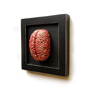 Brain Sculpture, Ceramic Brain Sculpture, Brain Wall Art, Psychology ...
