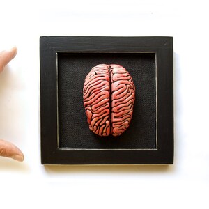 Brain Sculpture, Ceramic Brain Sculpture, Brain Wall Art, Psychology ...