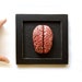 Brain Sculpture, Ceramic Brain Sculpture, Brain Wall Art, Psychology ...