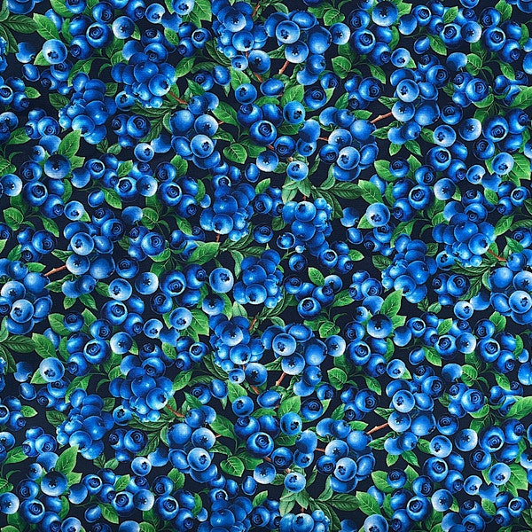Timeless Treasures Blueberry Fabric - Etsy