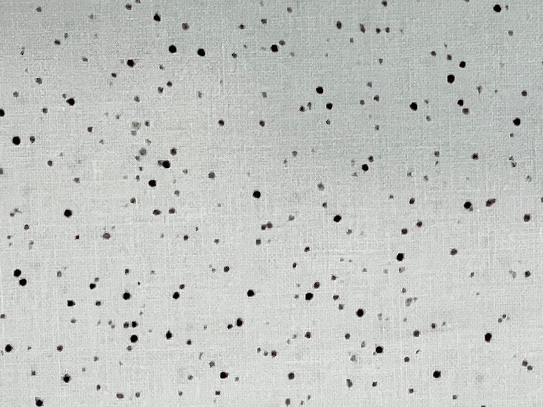 Bramble Patch Splatter Dot White Cotton Fabric Quilting Fabric MISC-148 ...