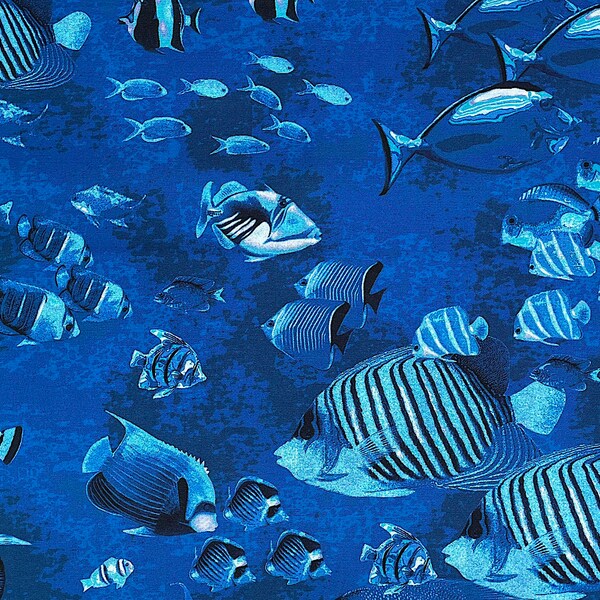 Saltwater Fish Art - Etsy