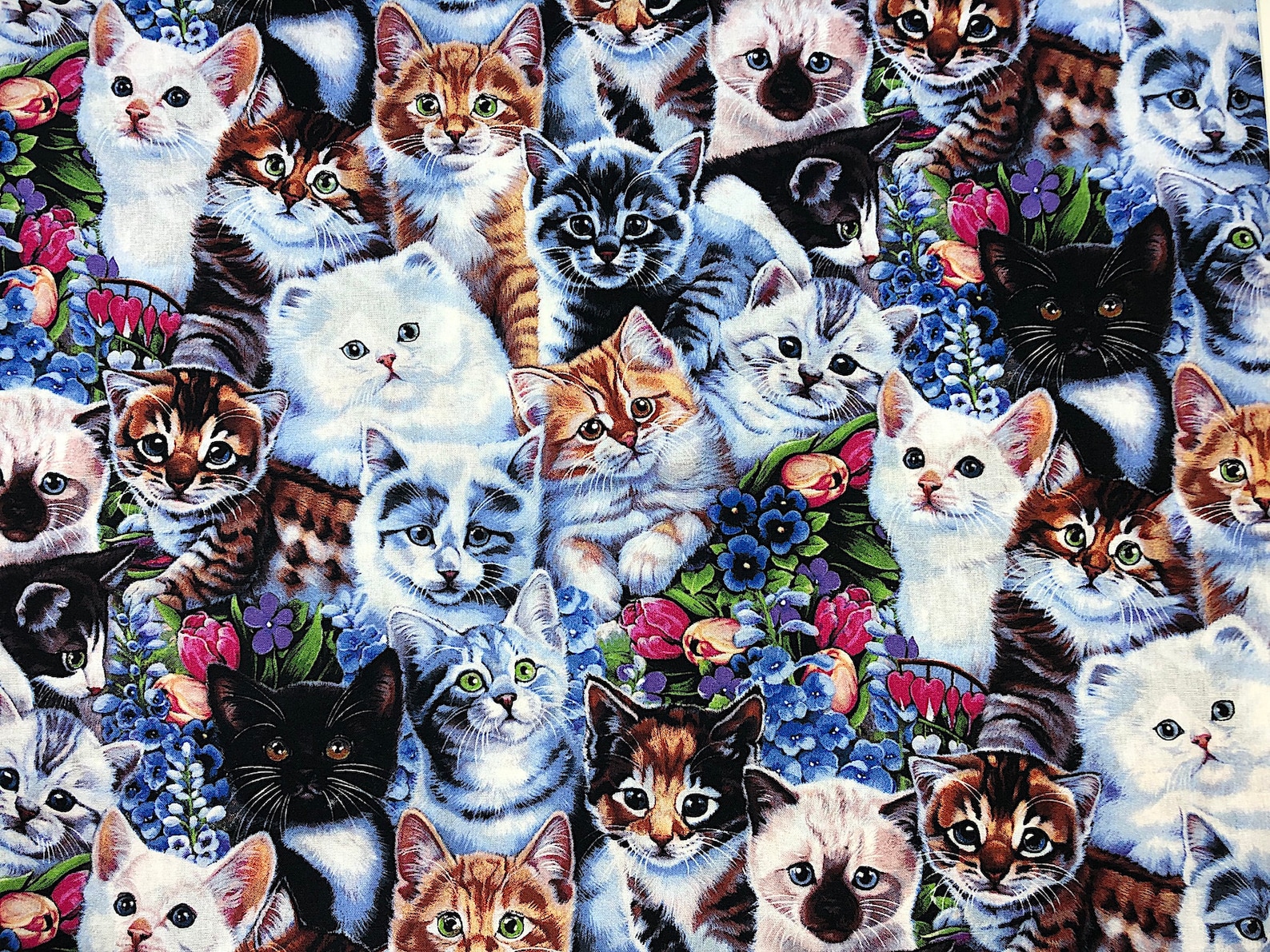 Kittens and Flowers Cat Fabric Kitten Fabric Cotton - Etsy