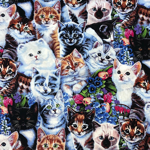 Kitten Fabric - Etsy