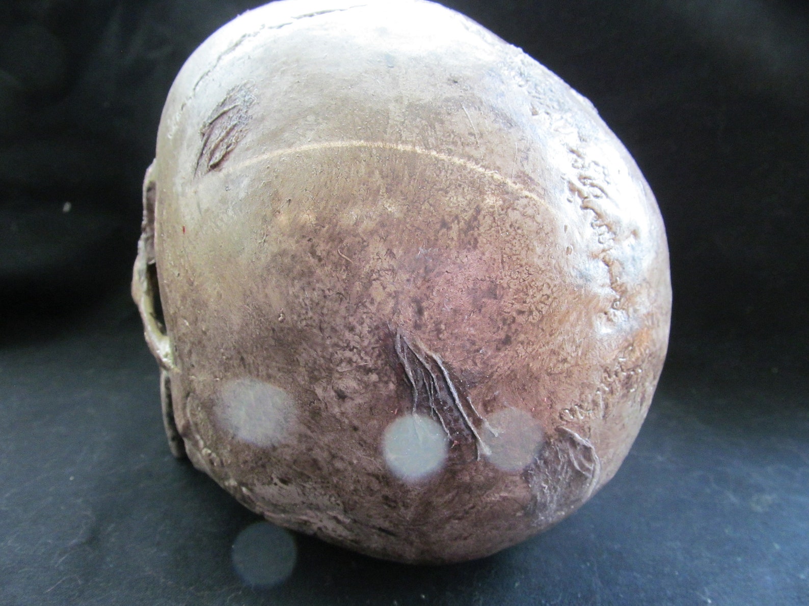 Human Skull Blue Eye - Etsy