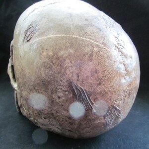 Human Skull Blue Eye - Etsy