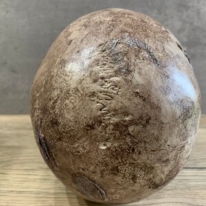 Human Skull Blue Eye - Etsy