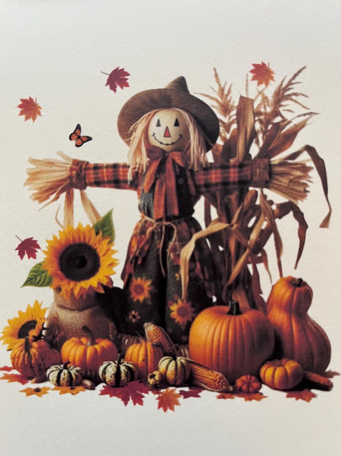 12 Fall Scarecrow Greeting Cards, Sunflower Note Cards, Pumpkin Note ...