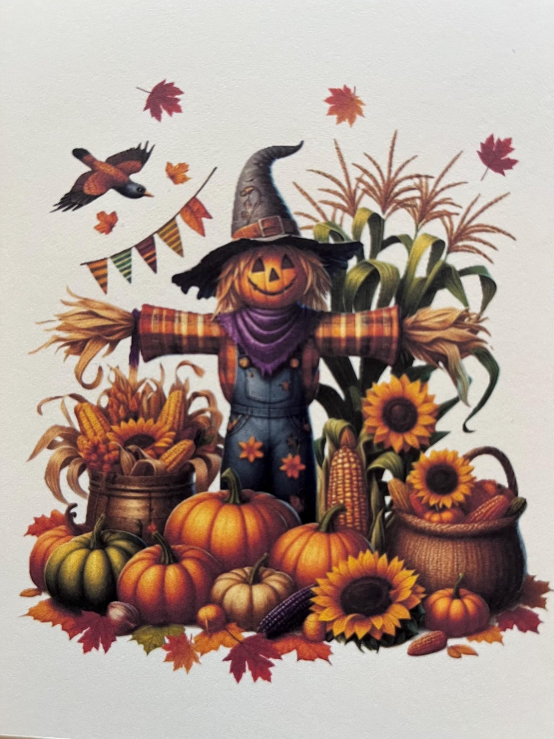 12 Fall Scarecrow Greeting Cards, Sunflower Note Cards, Pumpkin Note ...