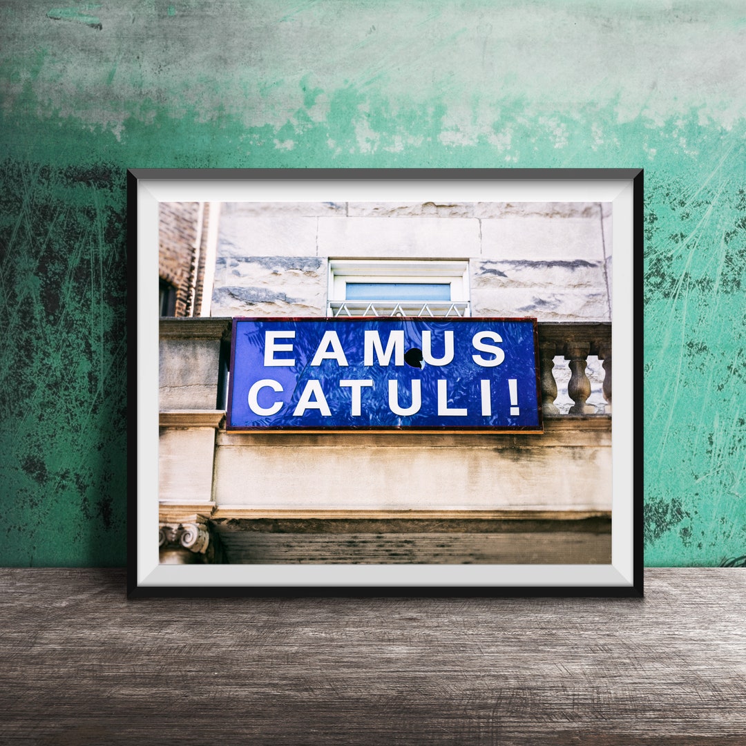 LET'S GO CUBS! - Unframed Photography Print - Chicago Cubs Art Print ...
