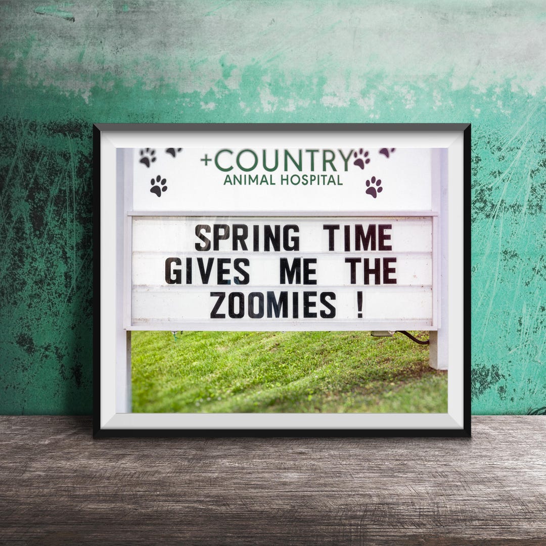 SPRING TIME ZOOMIES - Unframed Photography Print - Home Wall Art Decor ...