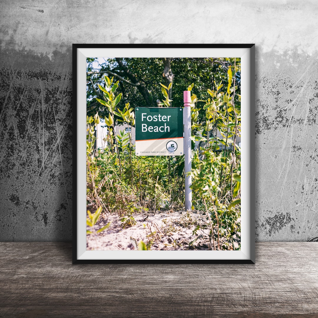 FOSTER BEACH, CHICAGO - Unframed Photography Print - Edgewater, Chicago ...