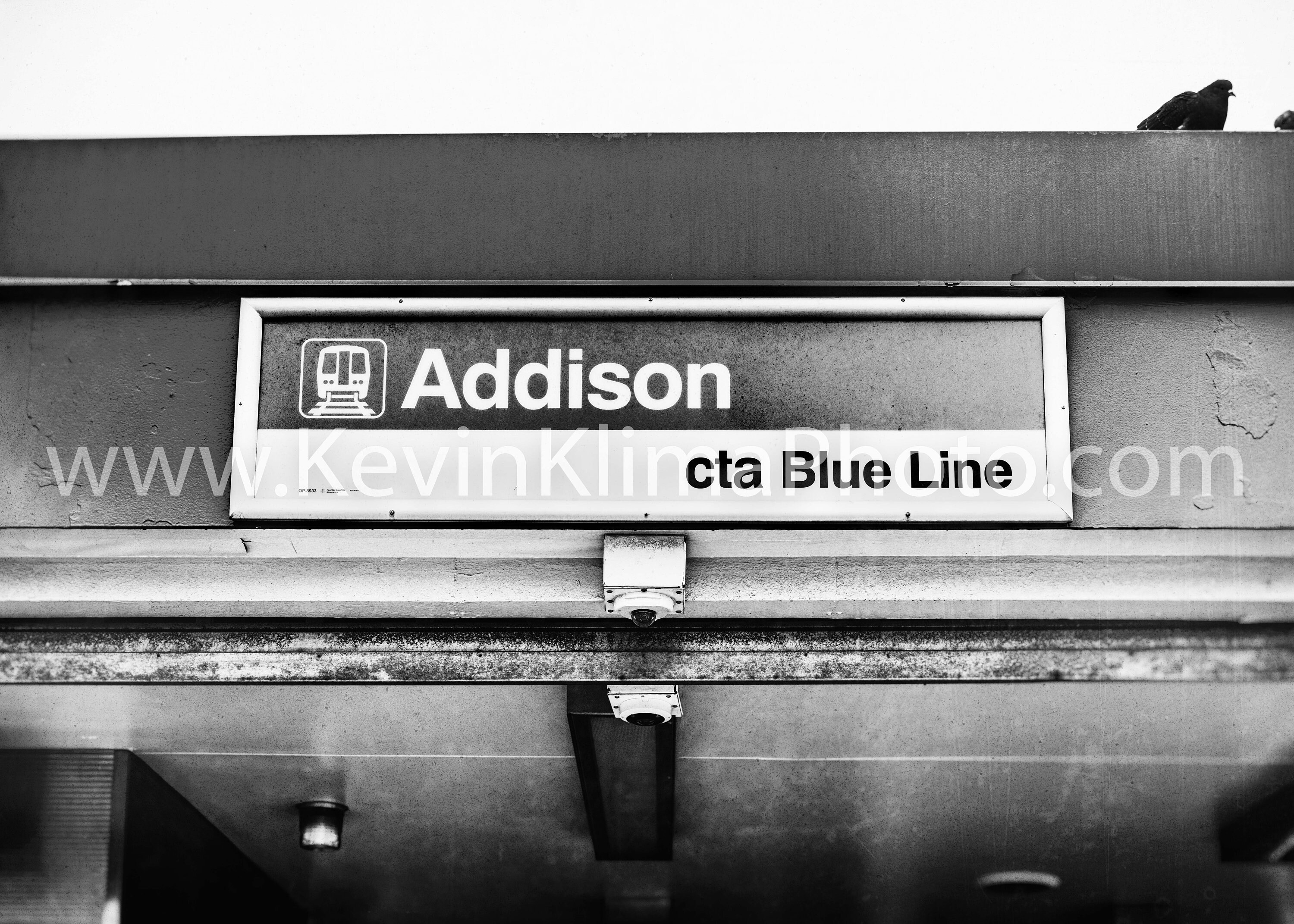 ADDISON CTA Blue Line - Chicago CTA El Sign - Unframed Photography ...