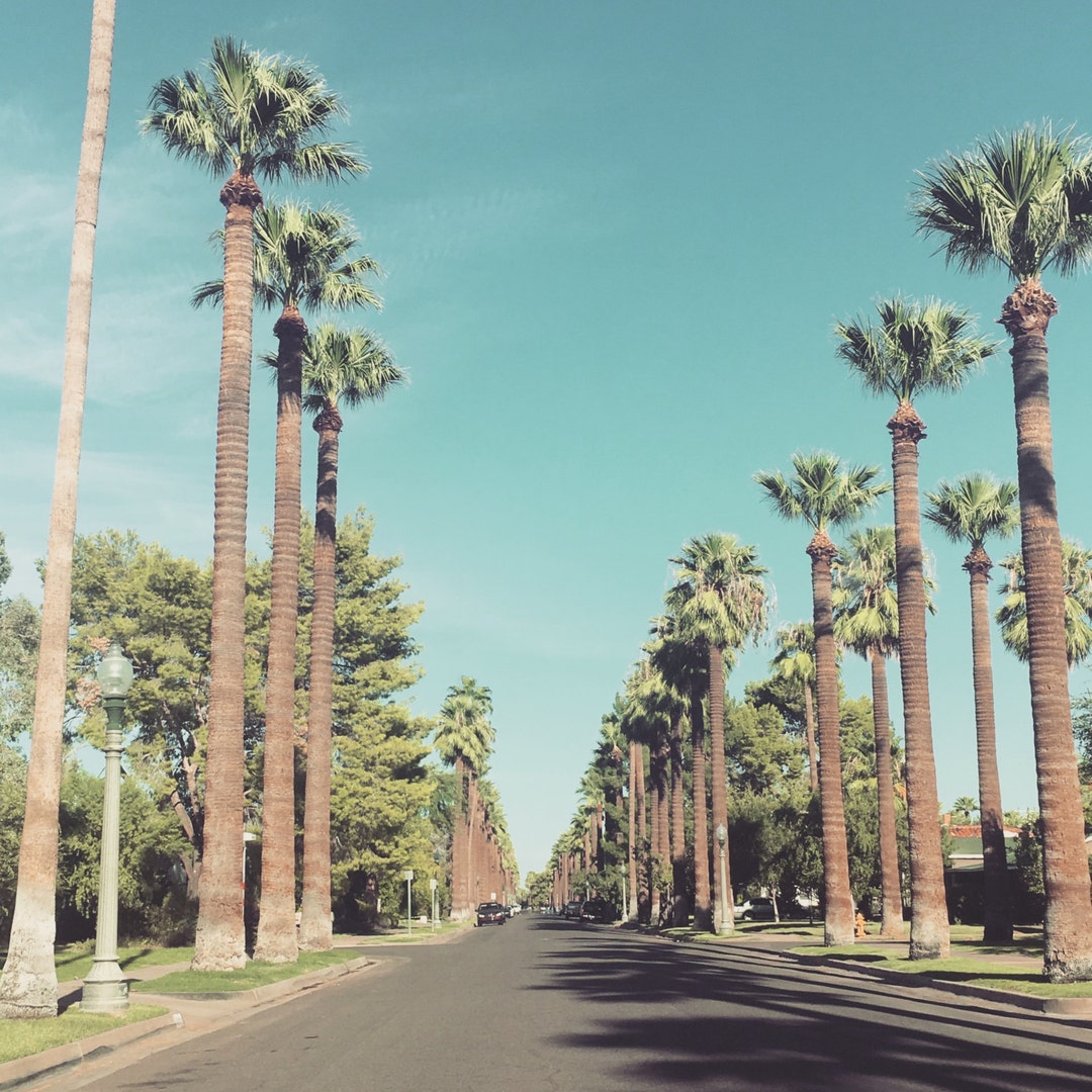 Arizona Palm Trees Photography Print - Etsy