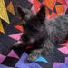 Digital Download Quilters Color Therapy - the Use of Color Psychology ...