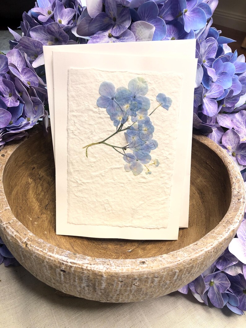 Handmade Hydrangea Flower Cards, Pressed Botanical Art Greeting Cards ...