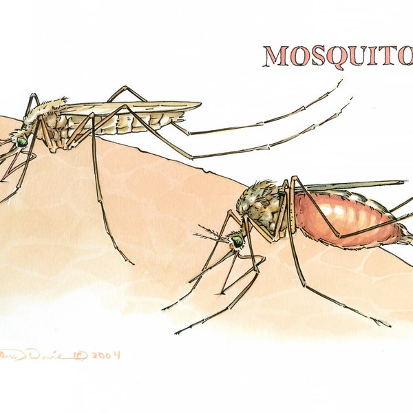 rearviewSTUDIO - Etsy