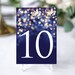 Editable Under the Stars Table Number Instant Download - Etsy