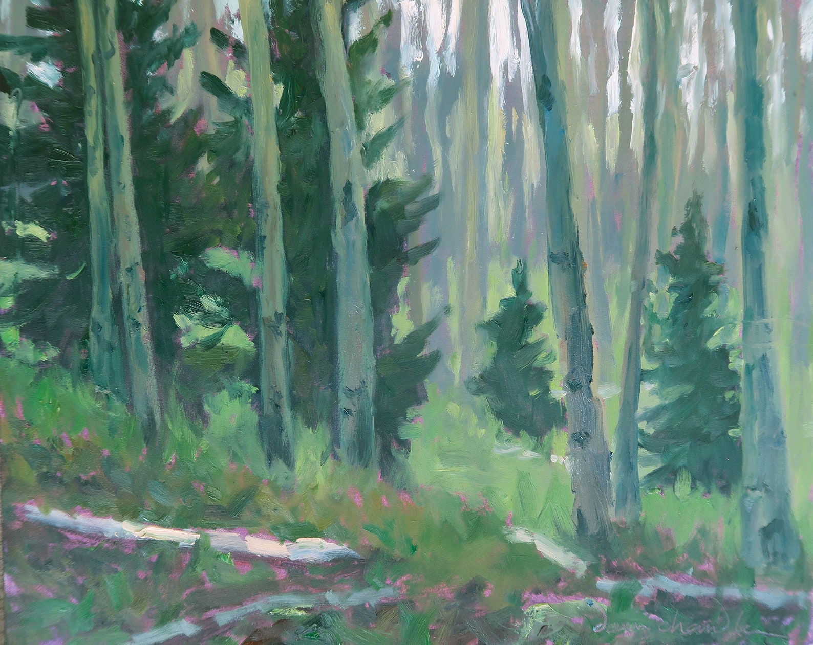 Morning Dawning in the Enchanted Forest (plein Air Painting, Aspen ...